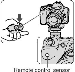 How to use the wireless remote control for the EOS Digital Rebel.