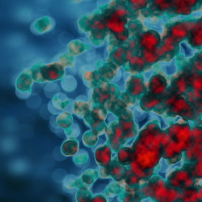 OBIS LS/LX - 紧凑型智能激光器 | 相干公司