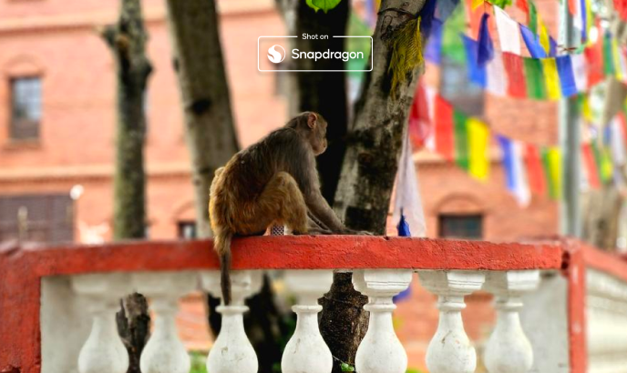 How Snapdragon technology is revolutionizing smartphone photography ...