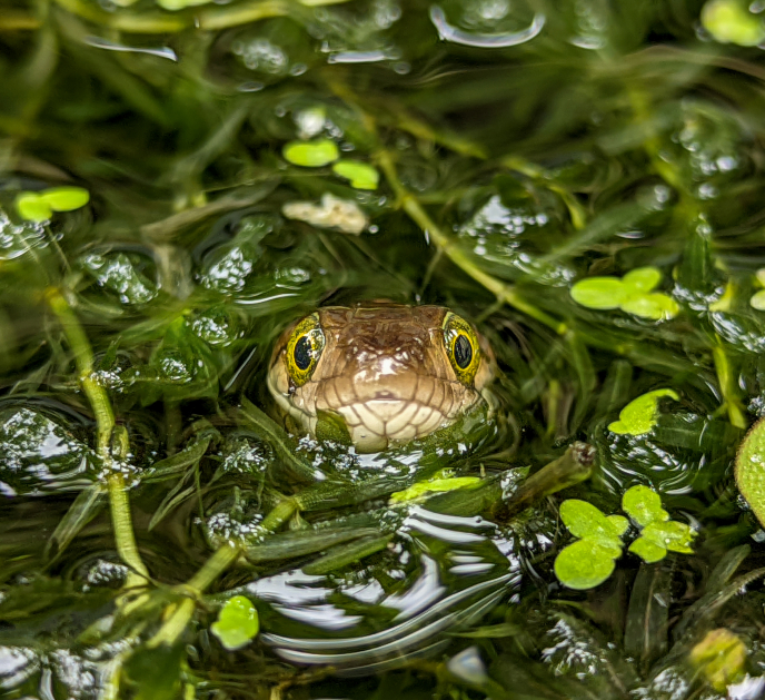 Spotlighting photography superstar Ajeesh