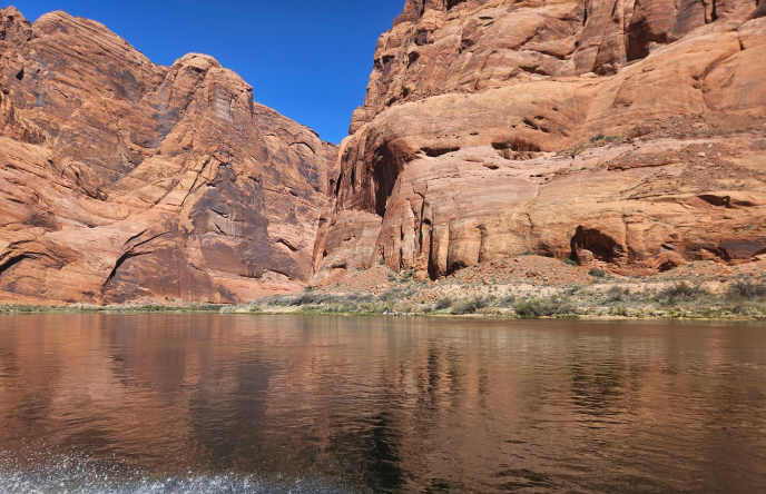 Inside Snapdragon with June’s Snapdragon Insider of the Month