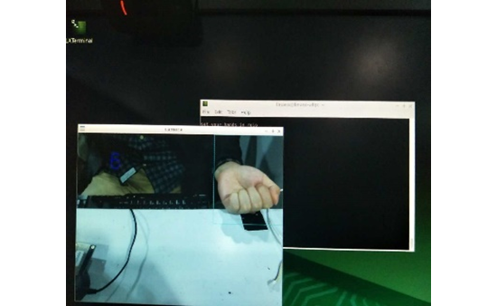 Hand Gesture Recognition