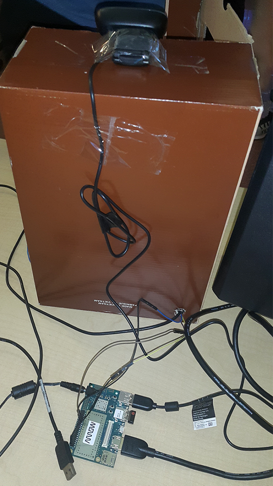 Janus, Roman God of Doors