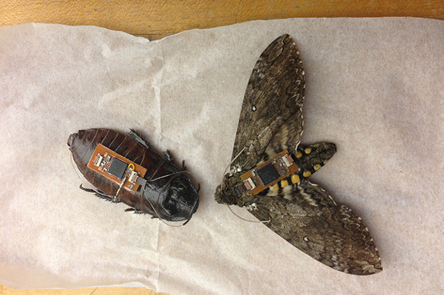 Robot animals are transforming scientific research | Qualcomm