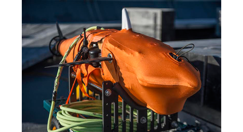 Robot animals are transforming scientific research | Qualcomm