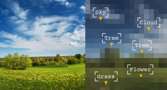 Double vision: The challenge of creating a world for both humans and ...