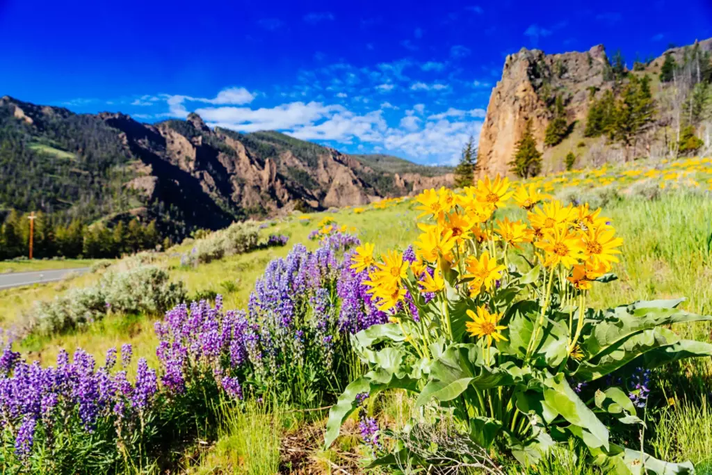 The Best RV Trips to Take During Spring in the U.S.