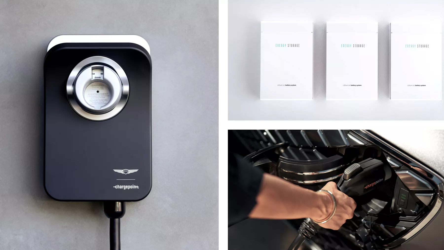 Genesis Electric || Genesis USA