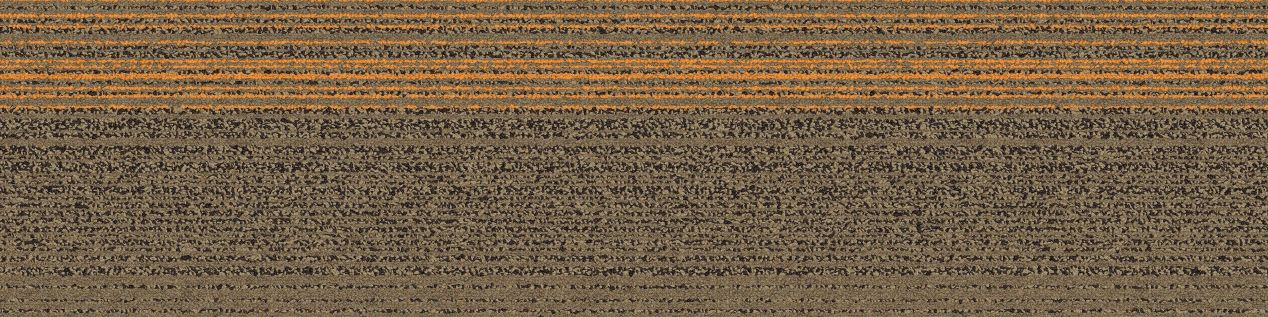 View BP411 | Carpet Tile | Interface