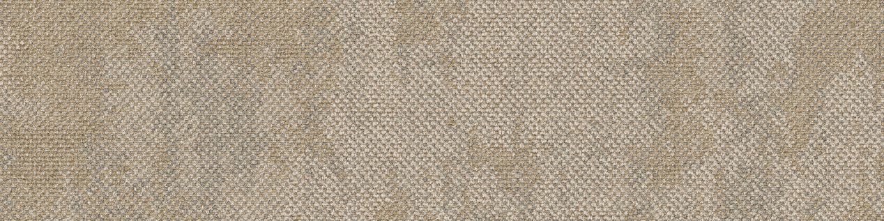 View Dry Bark | Interface Catalog - APAC Australia | Interface