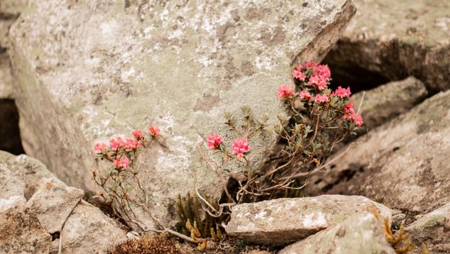 Fresco Valley | Commercial Carpet Tile & Resilient Flooring | Interface