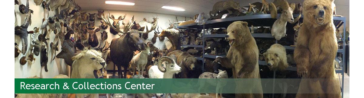 Contact Locations and Staff | Illinois State Museum System