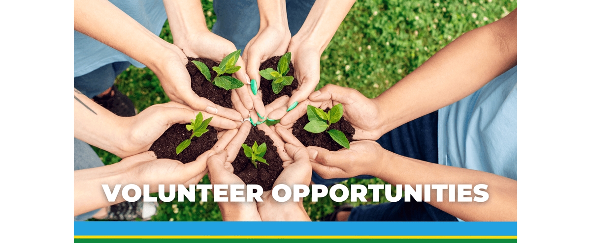 Volunteer Opportunities
