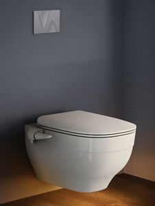 Toilet seats for kohler toilets store