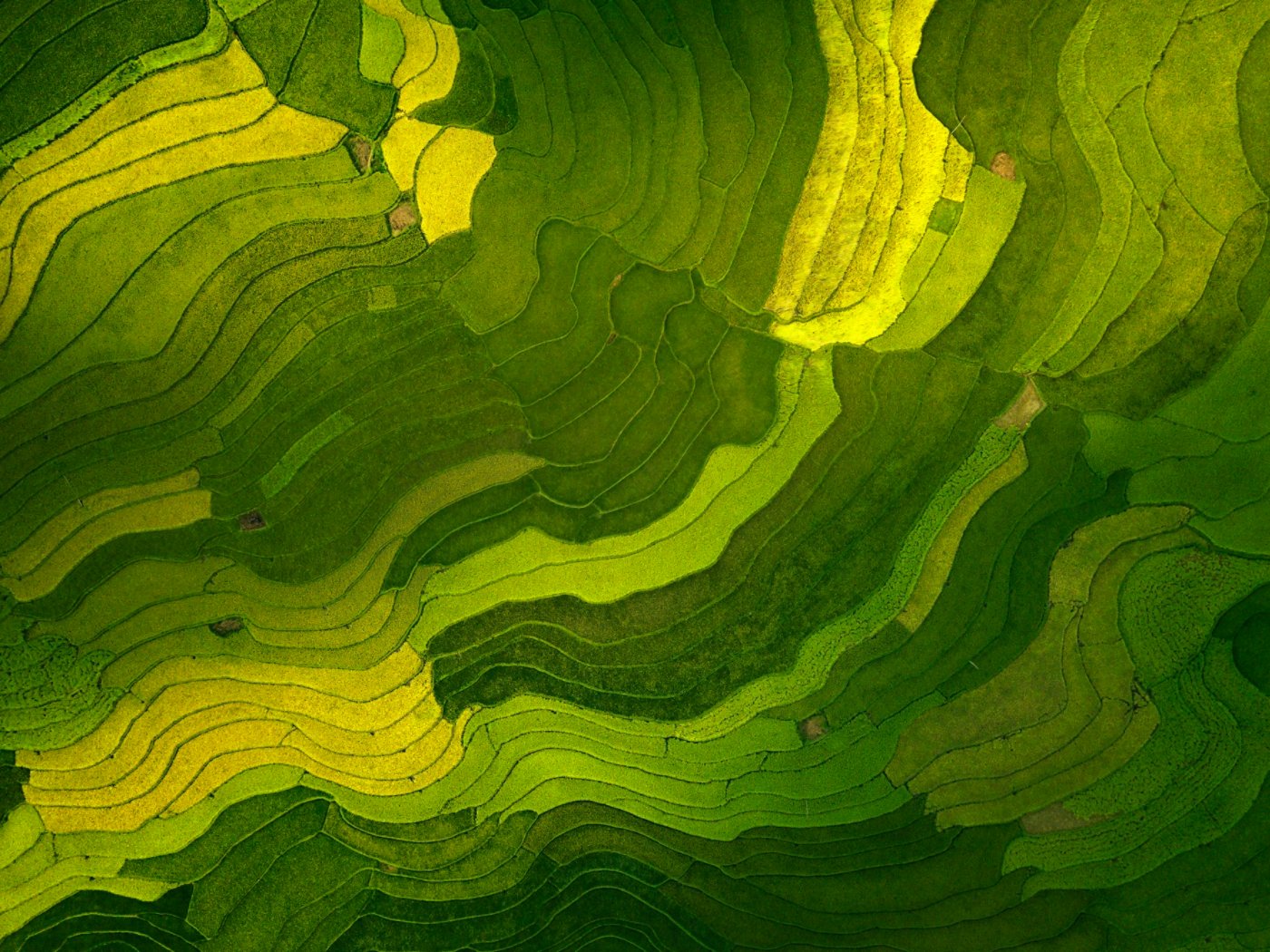 Application Services | Kyndryl