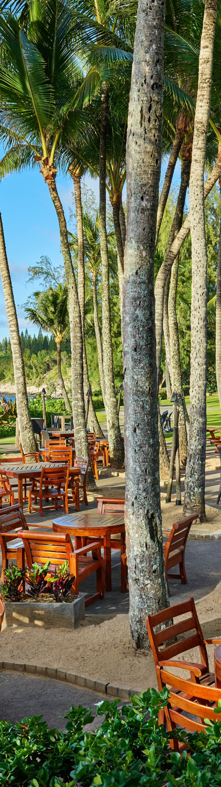 Kapalua Resorts | The Ritz-Carlton Maui, Kapalua