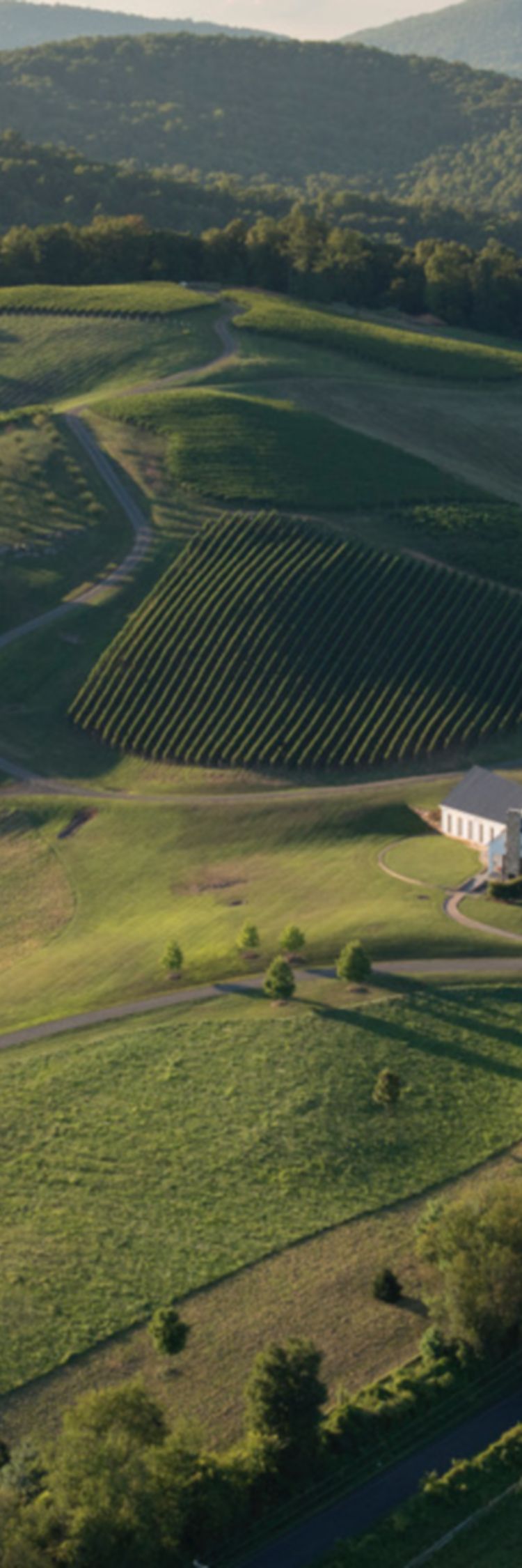 Planning A Trip To McLean, VA | The Ritz-Carlton, Tysons Corner