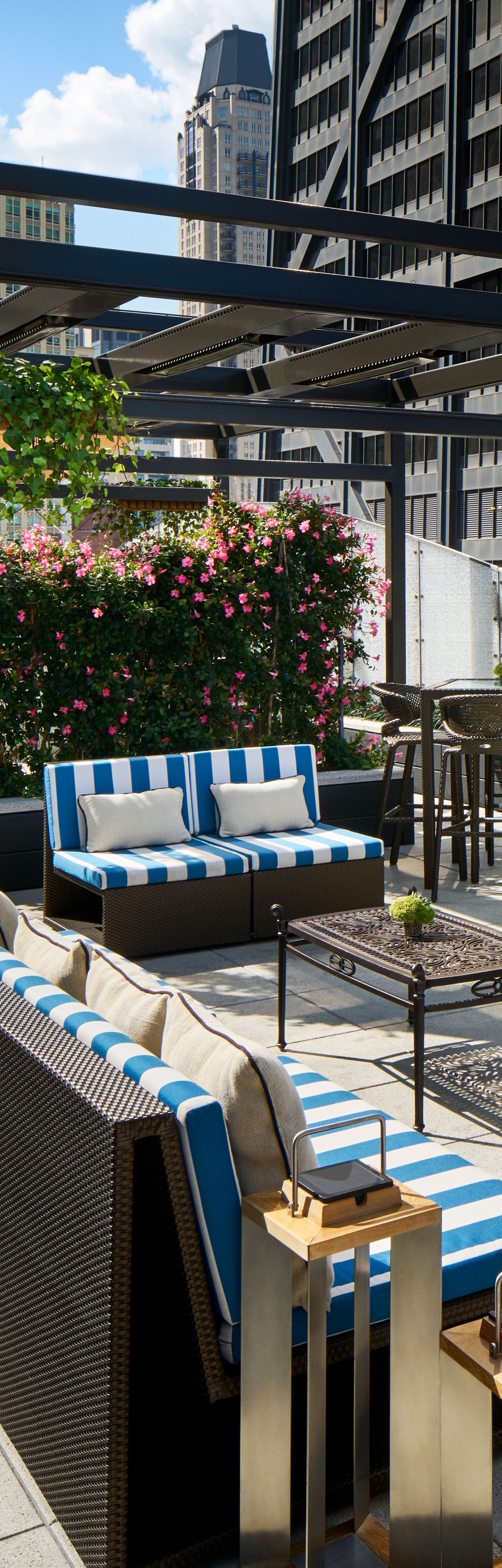 Rooftop Bar in Chicago | The Ritz-Carlton, Chicago