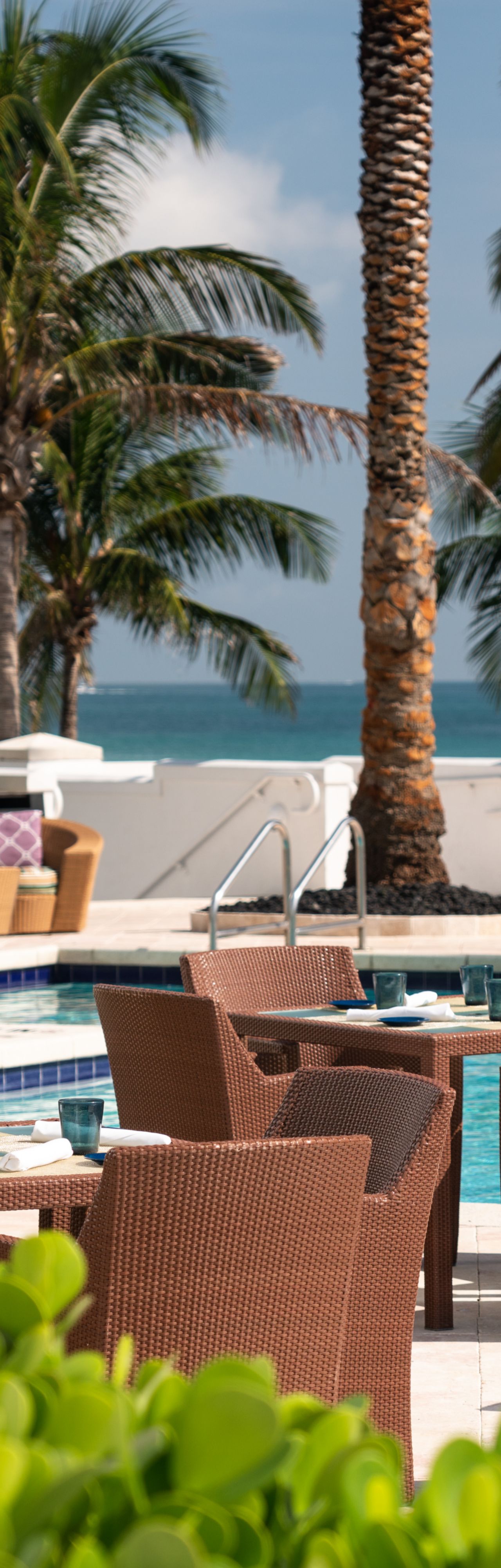 Seafood Restaurants in Miami, Florida | The Ritz-Carlton Bal Harbour, Miami