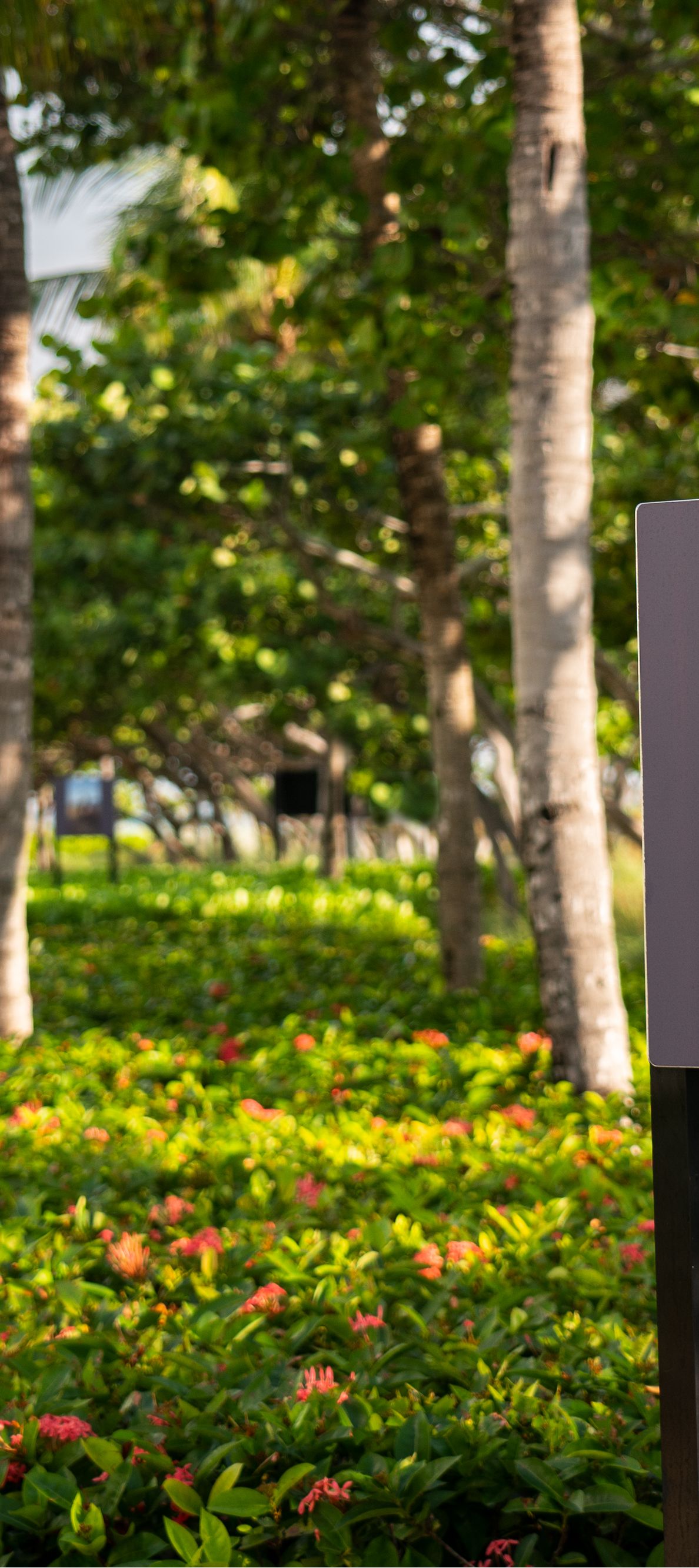 Miami Beach Luxury Hotel | The Ritz-Carlton Bal Harbour, Miami