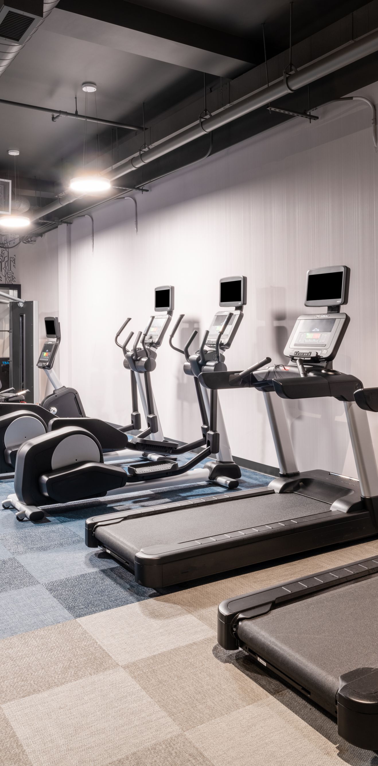 New South Congress Hotels in Austin | Aloft Austin South