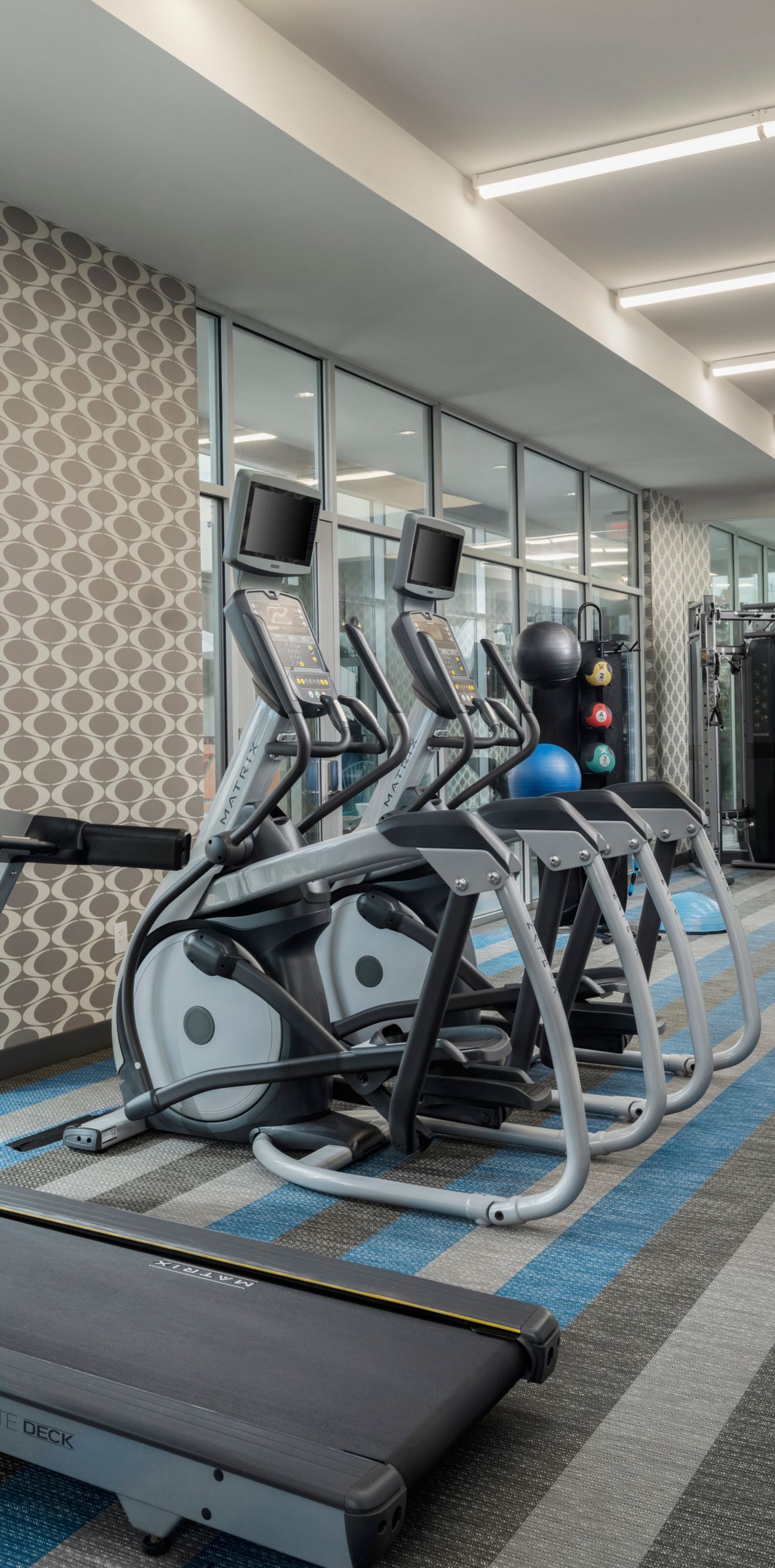 Book at Our Lake Buena Vista Orlando Hotel near SeaWorld | Aloft Hotel