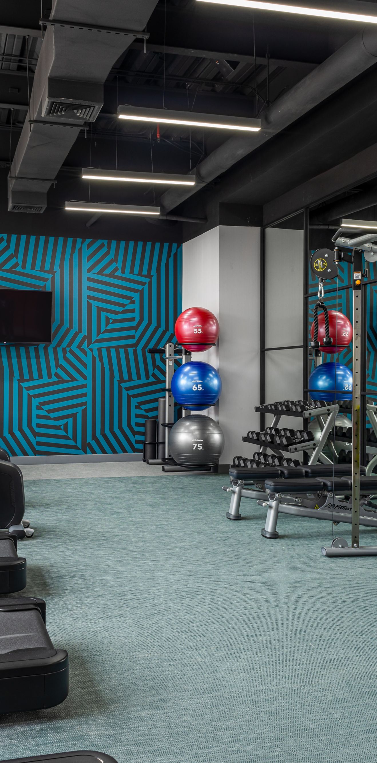 Aloft San Pedro Sula | Modern Hotel in San Pedro Sula, Cortés