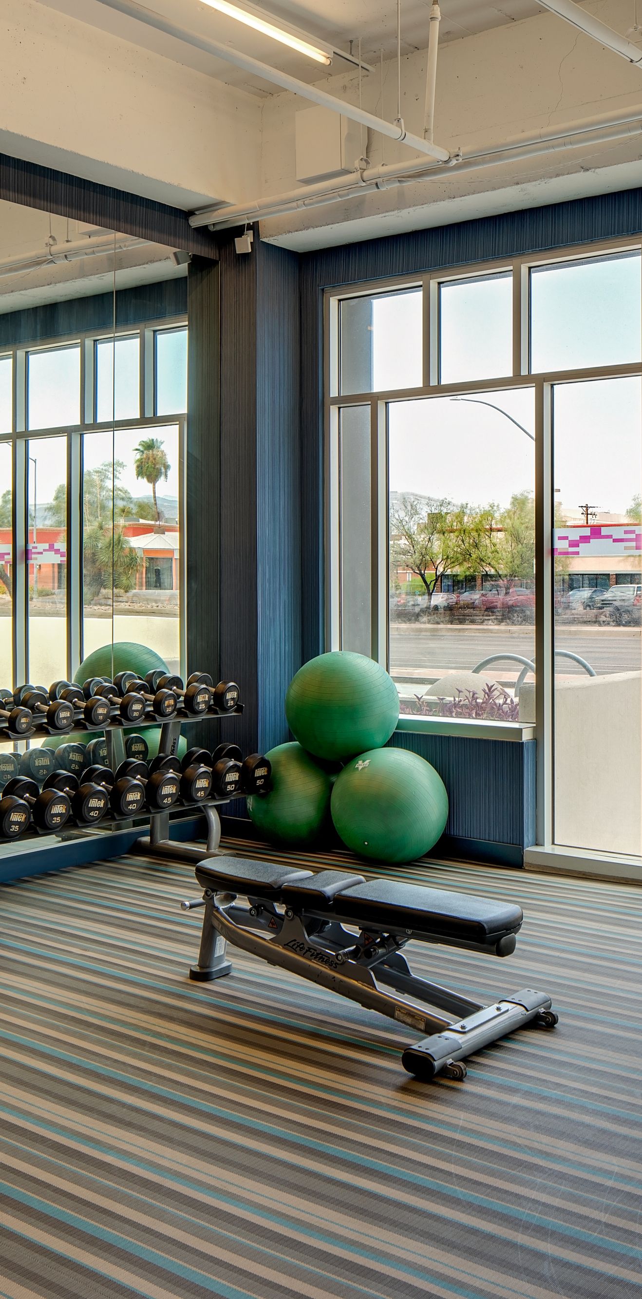 Tucson Hotels near University of Arizona | Aloft Tucson University