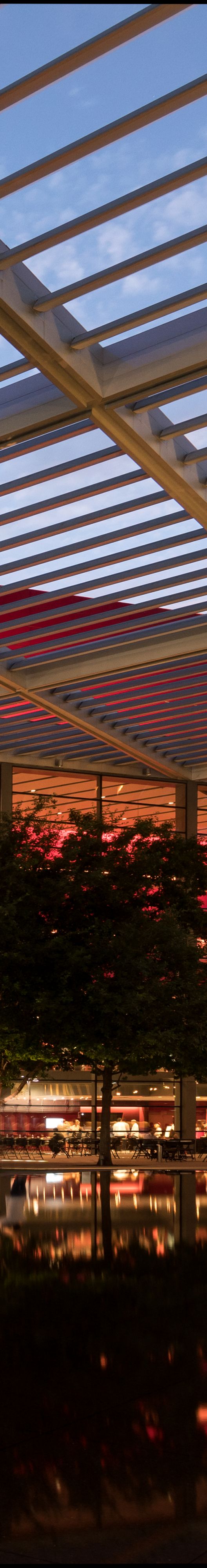 Weekend Getaways in Dallas - Romantic Getaways in Dallas | The Ritz ...