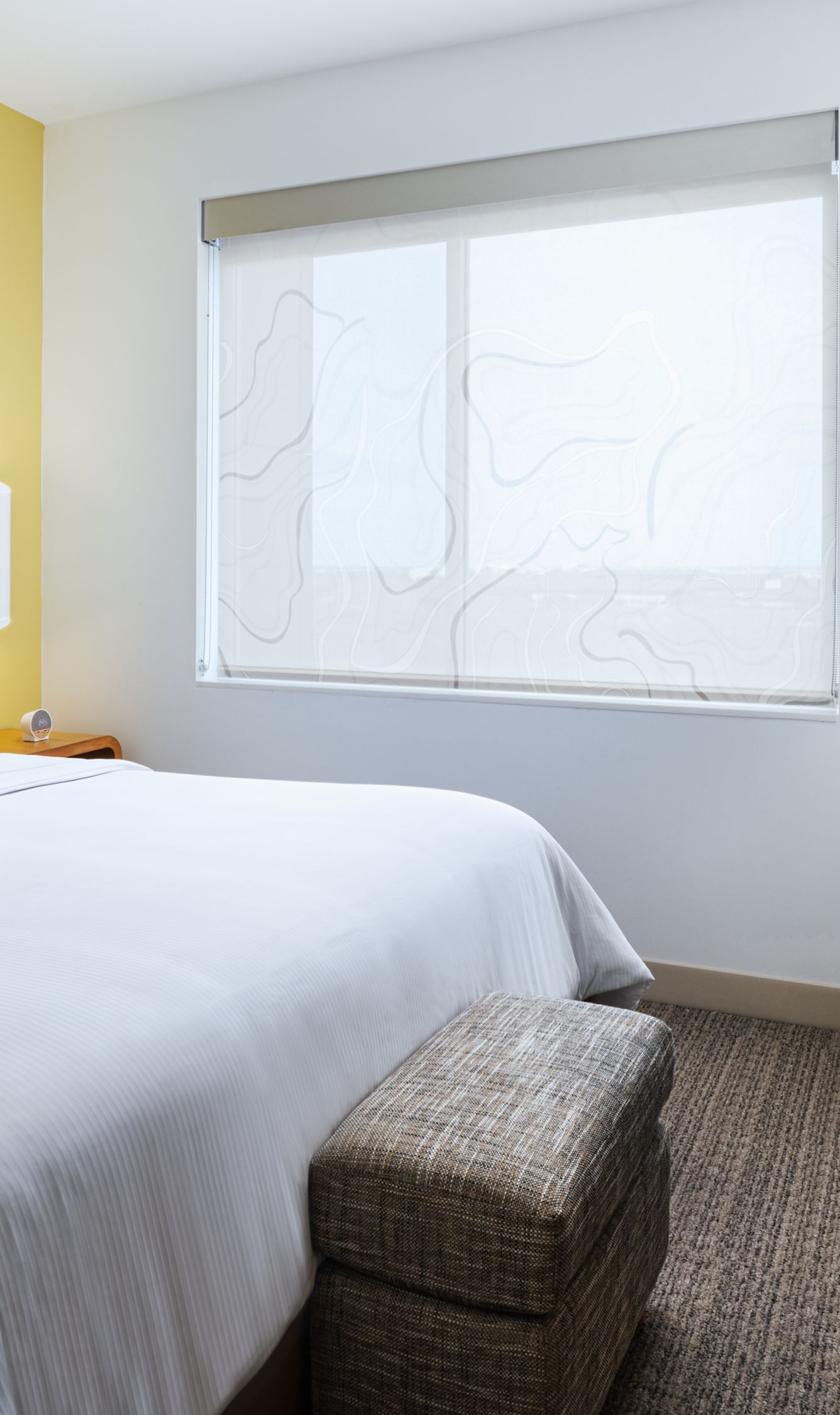 1 Bedroom Suite