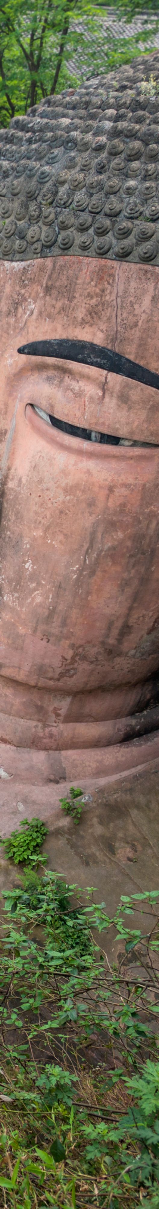 Planning Your Trip in Chengdu | The Ritz-Carlton, Chengdu