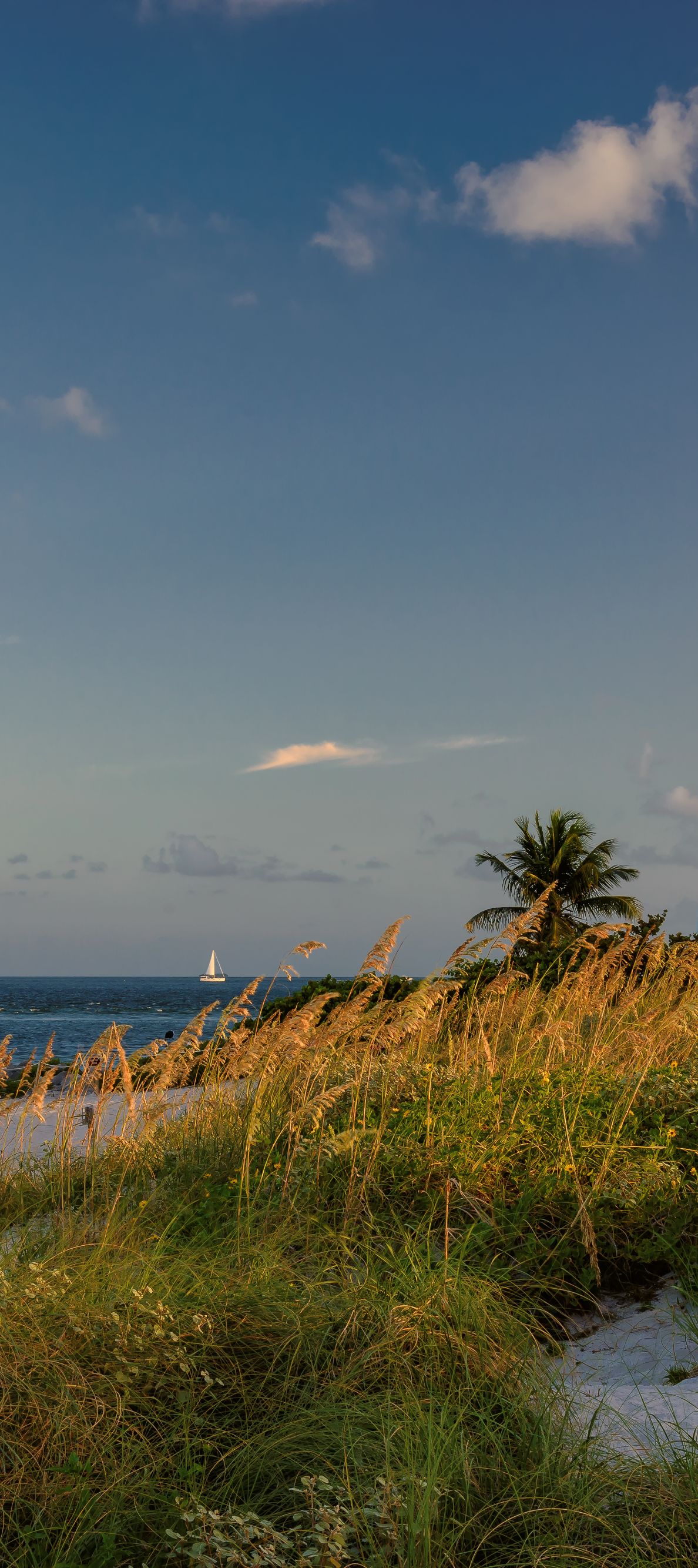 Planning A Trip To Miami | The Ritz-Carlton Key Biscayne, Miami