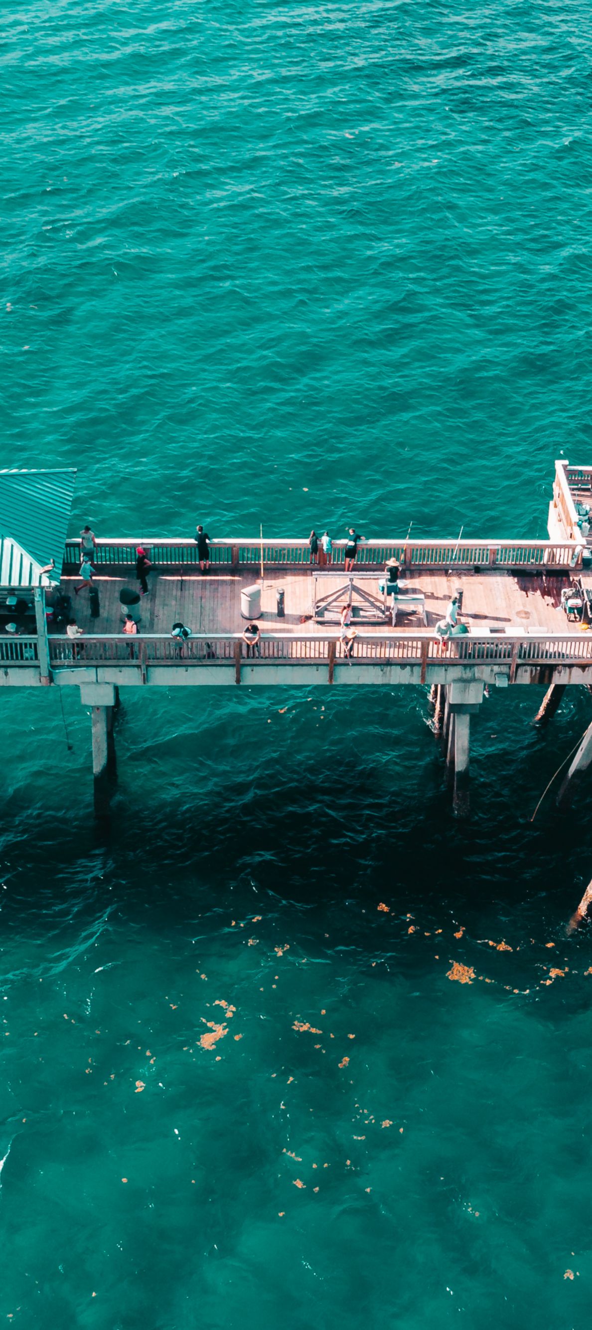 Planning A Trip To Bal Harbour, Ritz-Carlton