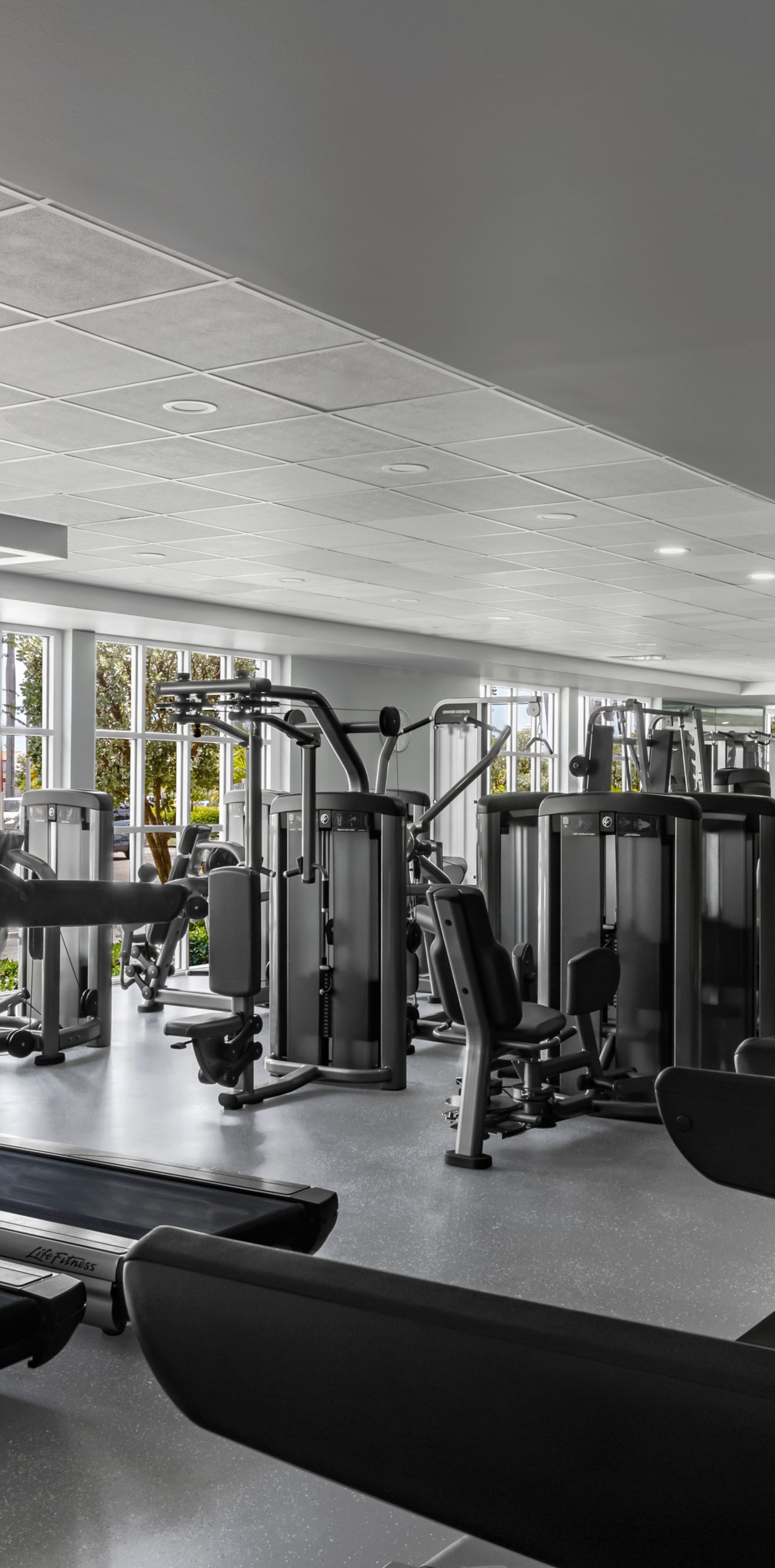 Aruba Beachfront Resort | Marriott's Aruba Surf Club