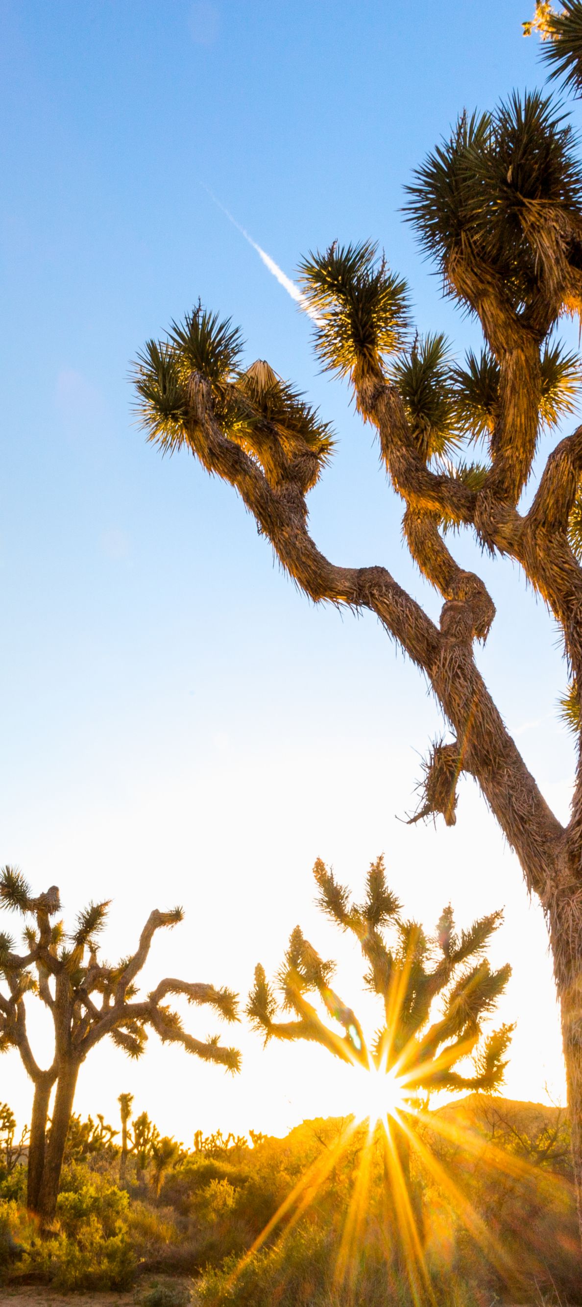 Planning A Trip To The Ritz-Carlton, Rancho Mirage