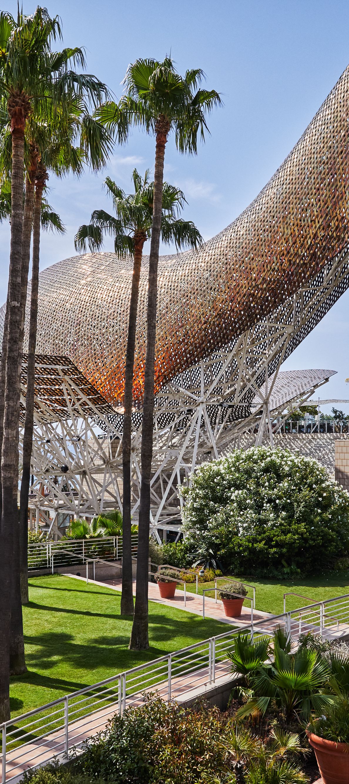 Activates & Experiences to do in Barcelona | The Ritz-Carlton