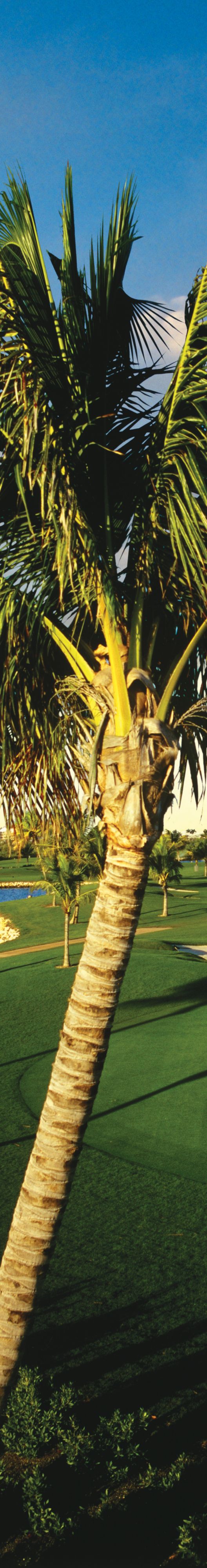Grand Cayman Golf | The Ritz-Carlton, Grand Cayman