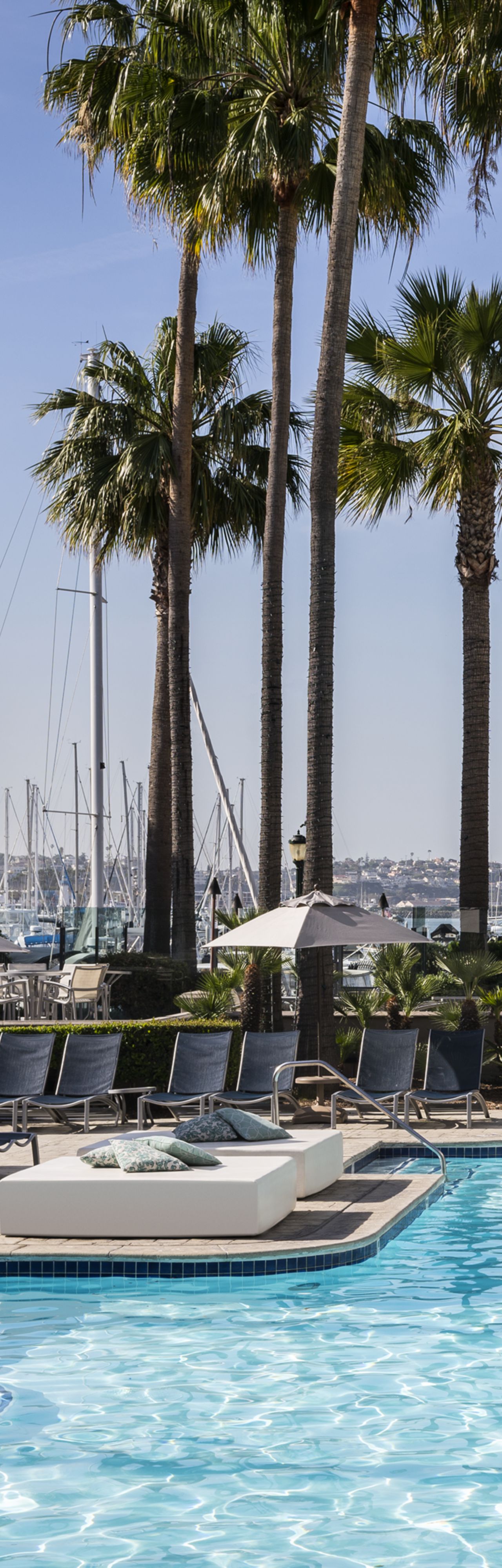 Restaurants in Marina del Rey | The Ritz-Carlton