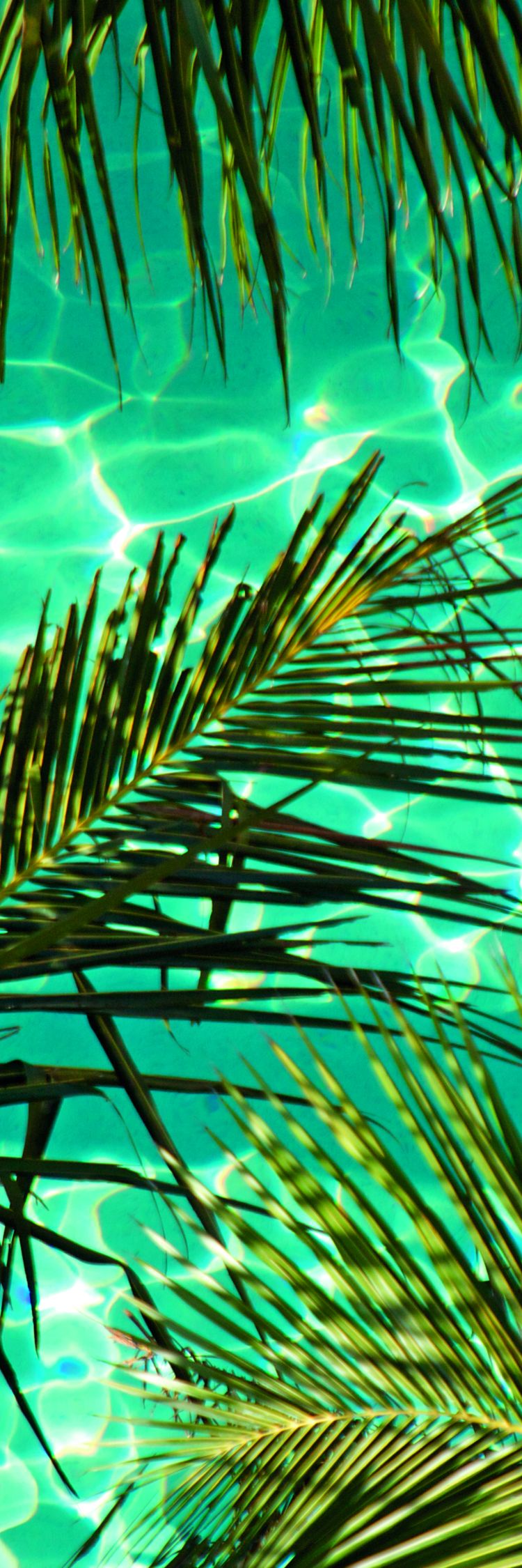 Massage in Naples, Florida | The Ritz-Carlton, Naples