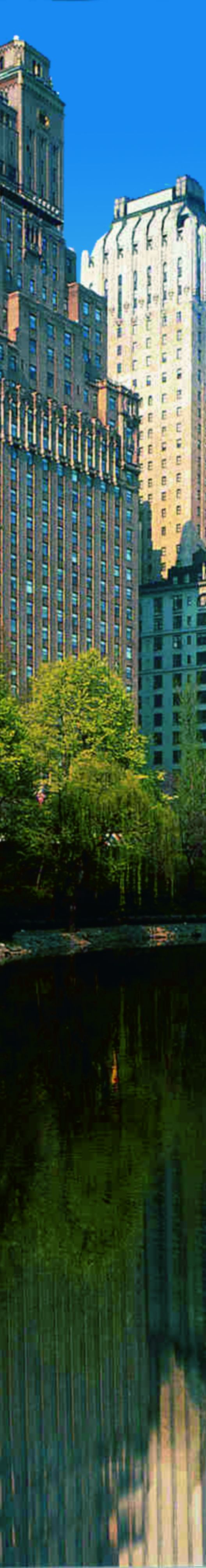 Planning A Trip To New York, The Ritz Carlton New York, Central Park