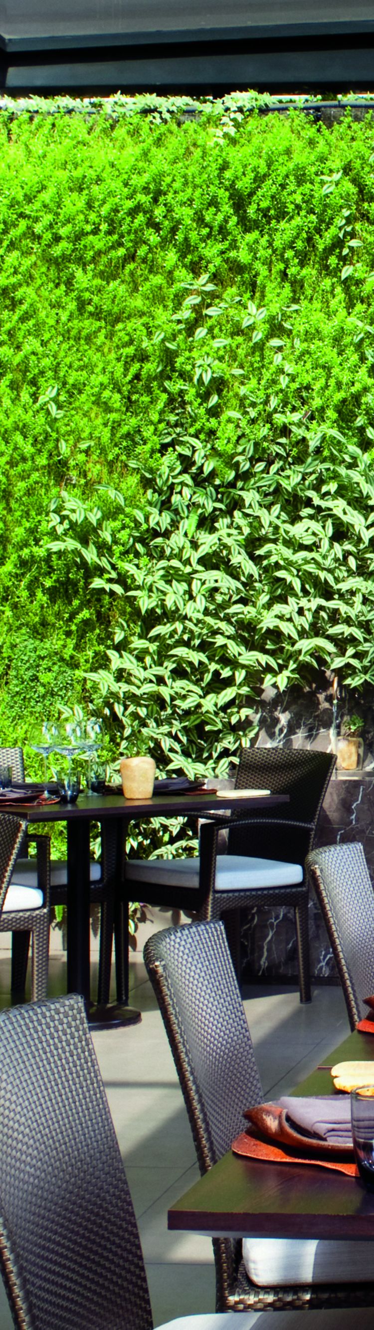 Hotel in Santiago, Chile | The Ritz-Carlton, Santiago