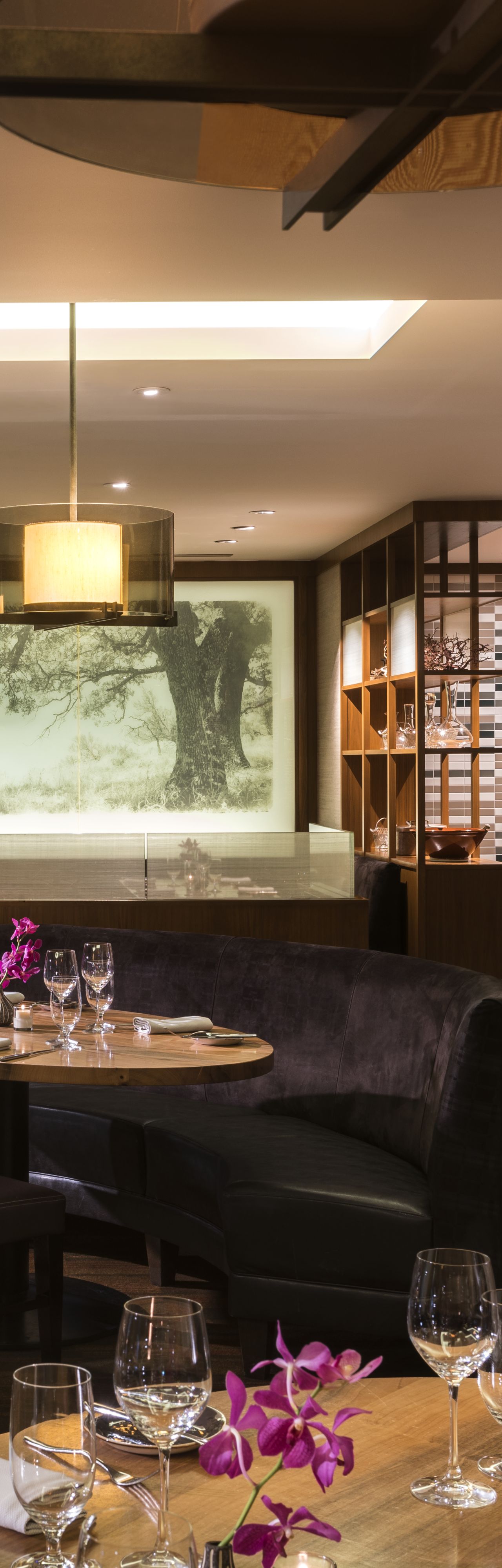 Bars in San Francisco, CA | The Ritz-Carlton, San Francisco