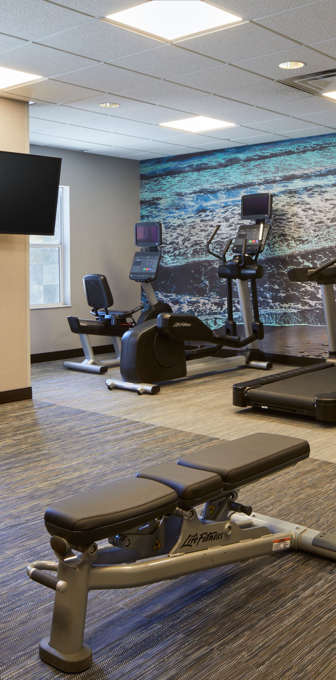 Recently Renovated Hotel in Carlsbad: Residence Inn Marriott Carlsbad ...