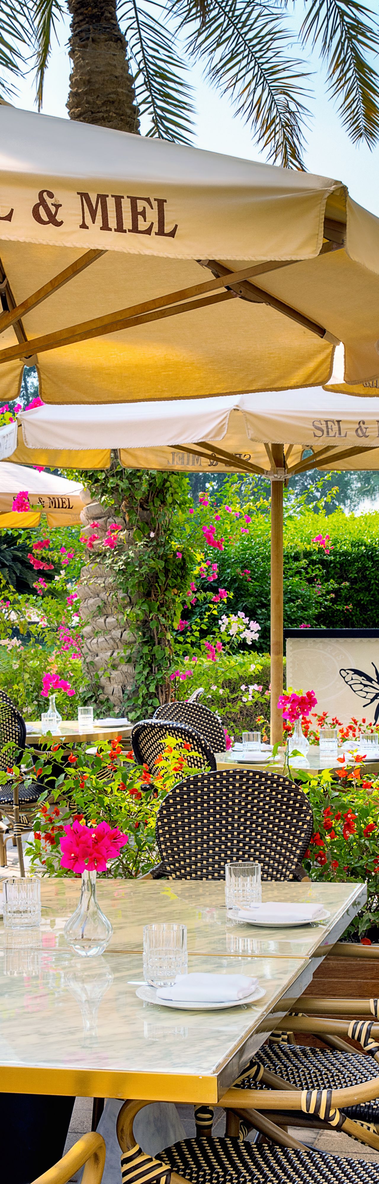 Restaurants in Doha | The Ritz-Carlton