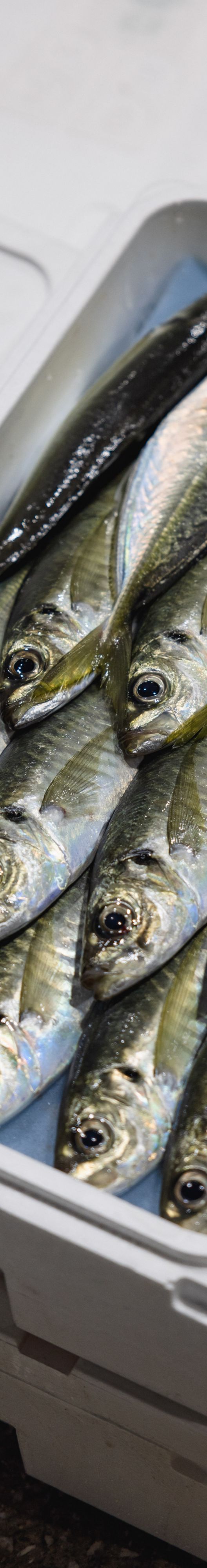 Fukuoka Convention Center | The Ritz-Carlton, Fukuoka