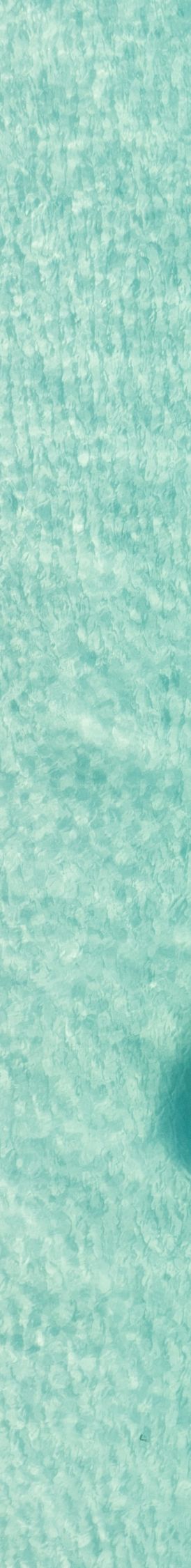 Grand Cayman Golf | The Ritz-Carlton, Grand Cayman