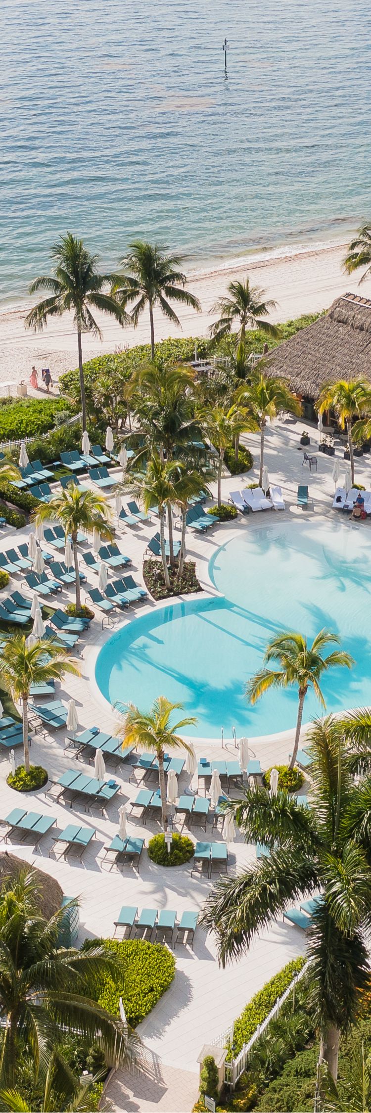 Planning A Trip To Miami | The Ritz-Carlton Key Biscayne, Miami