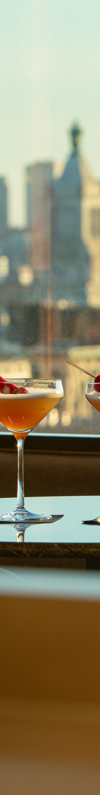 The Ritz-Carlton Club | The Ritz-Carlton New York, NoMad