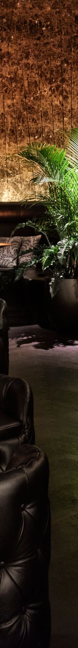 Restaurants in Vienna | The Ritz-Carlton