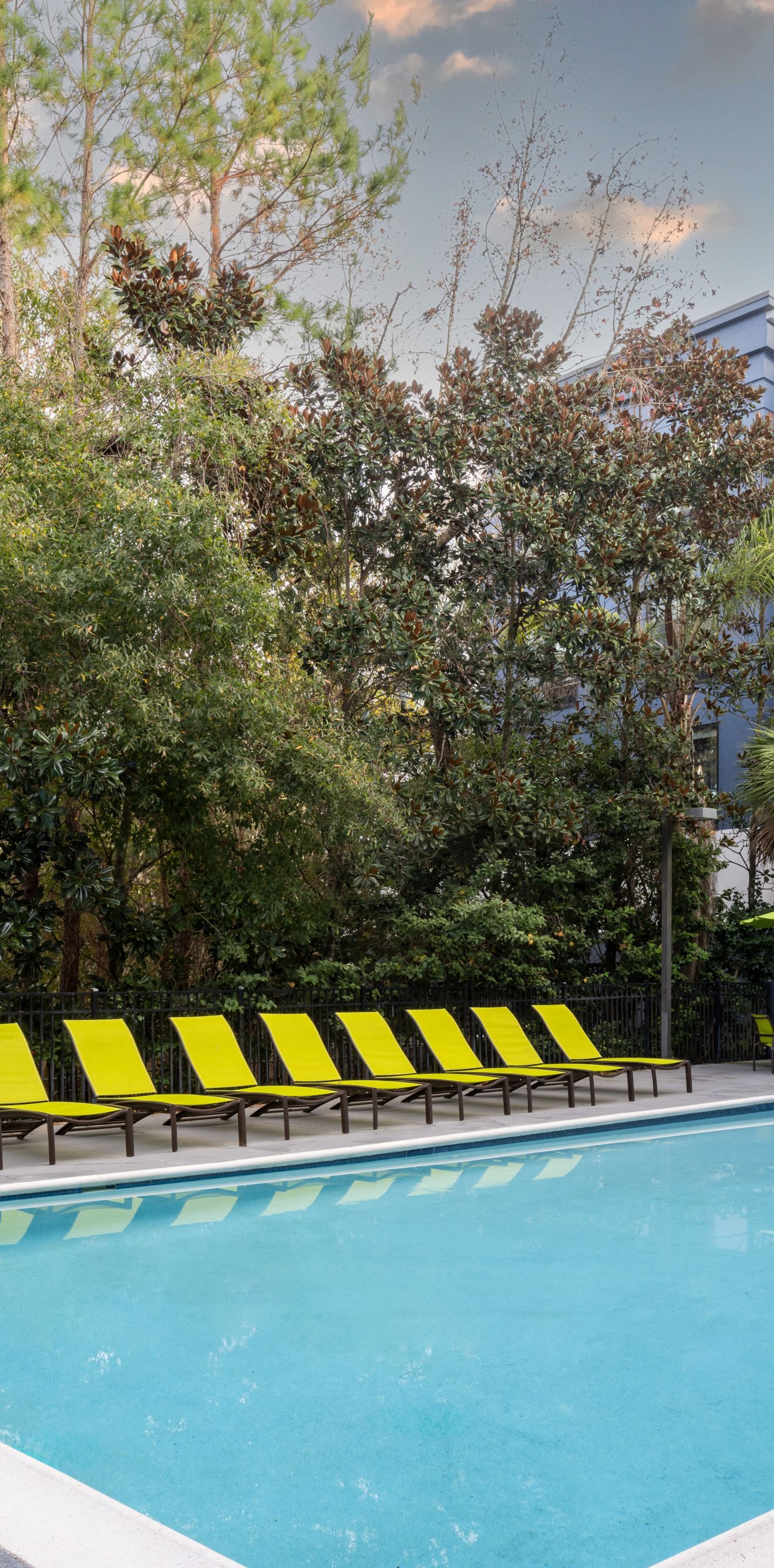 Hotels in Gainesville, FL | SpringHill Suites Gainesville